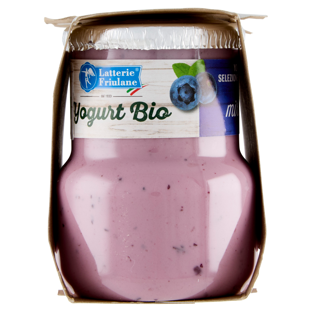 Latterie Friulane Yogurt Bio mirtillo 2 x 125 g | Carrefour