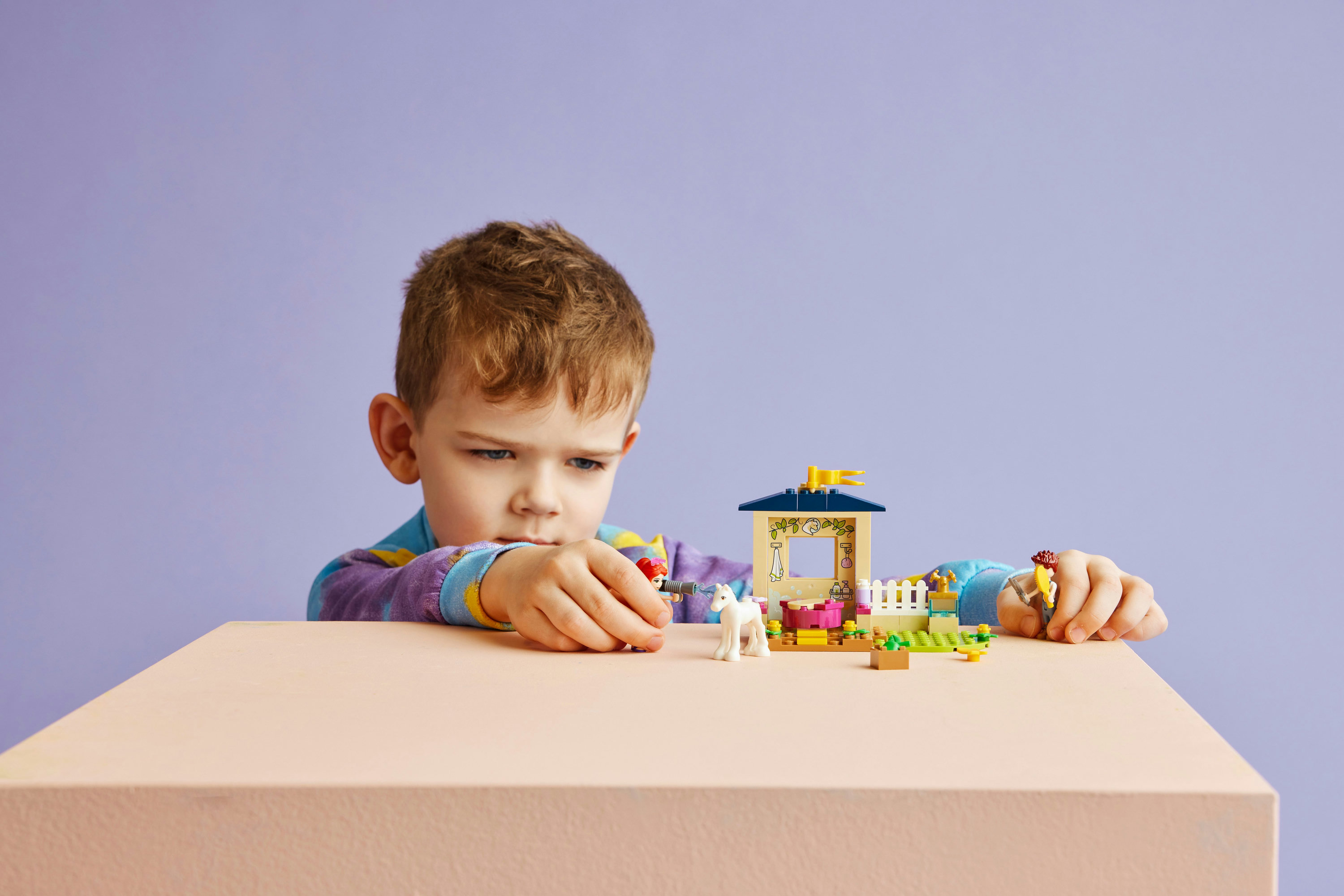 LEGO Friends Stalla di toelettatura dei pony | Carrefour