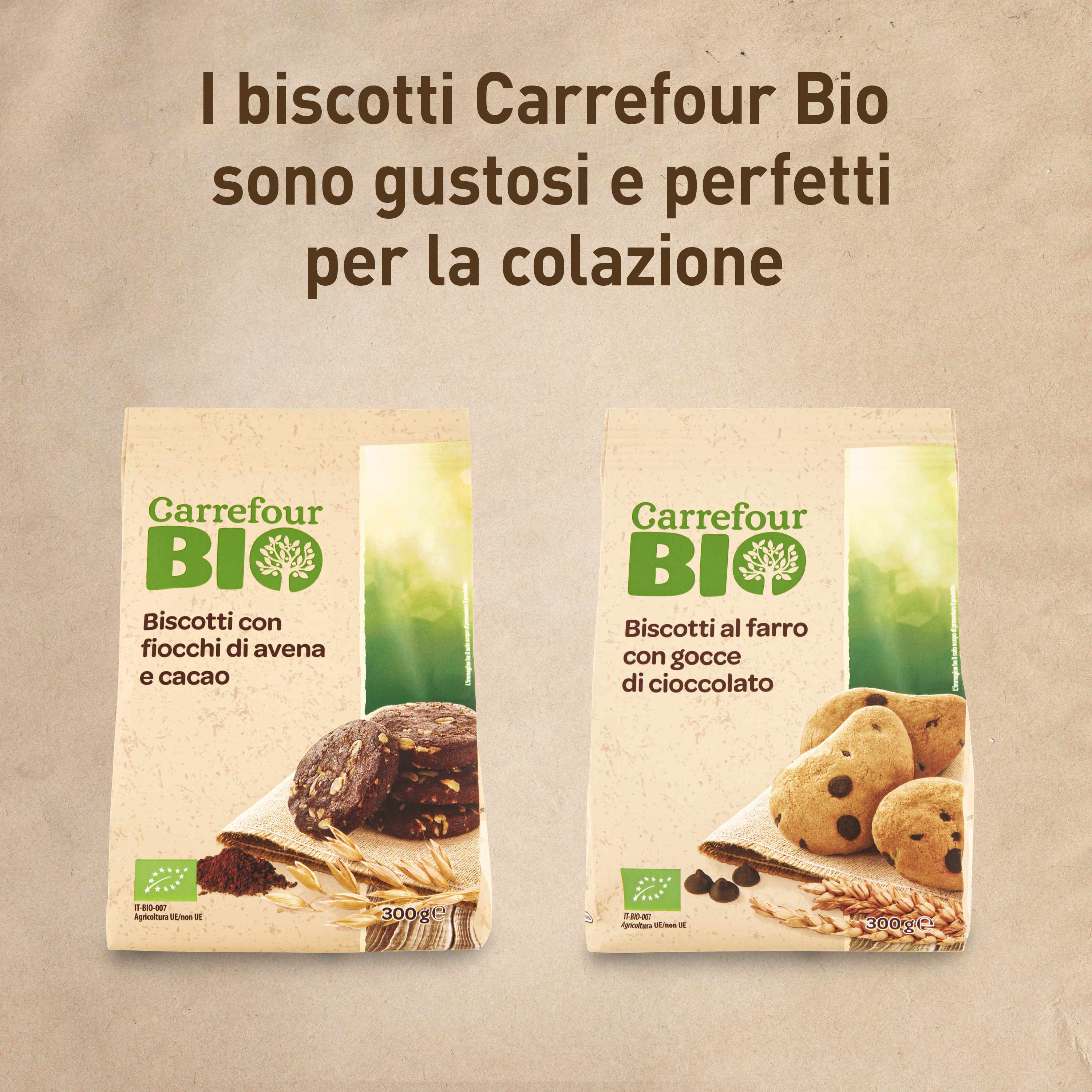 Carrefour Bio Biscotti con fiocchi di avena e cacao 300 g | Carrefour
