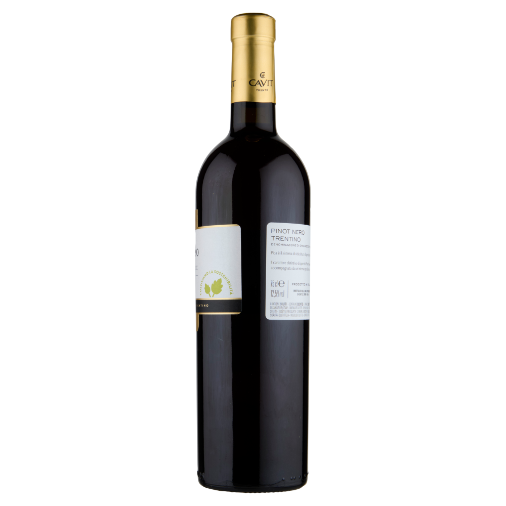 Cavit i Mastri Vernacoli Pinot Nero Trentino DOC 75 cl | Carrefour