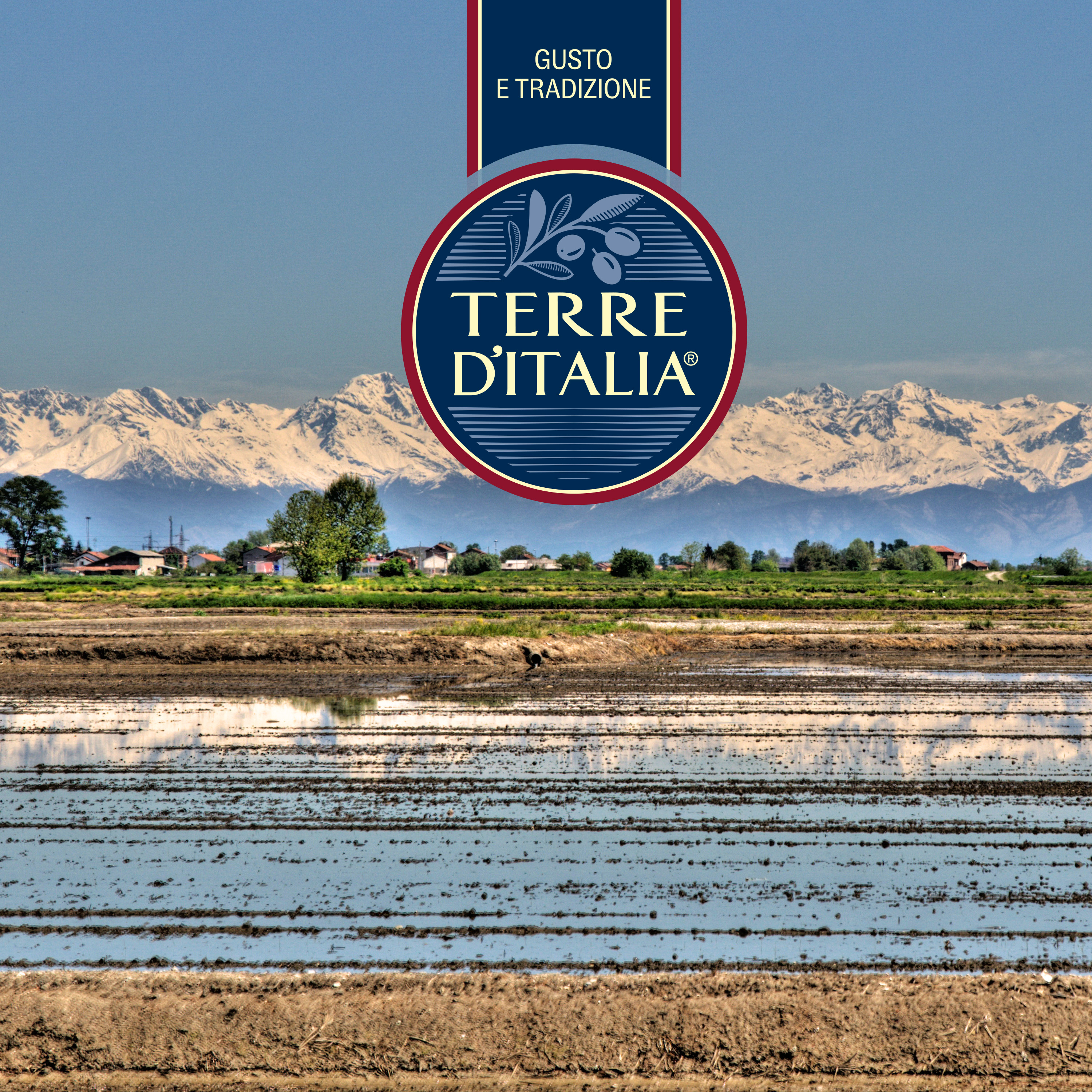 Terre d'Italia Riso Carnaroli del Piemonte 1 kg | Carrefour