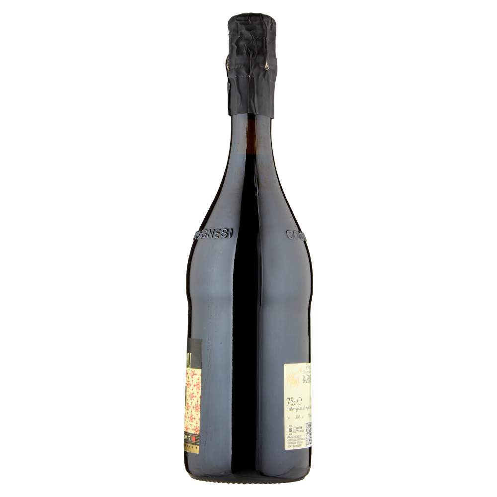 Gaggioli Barbera Frizzante Colli Bolognesi DOC 75 cl | Carrefour