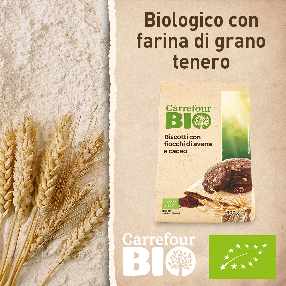 Carrefour Bio Biscotti con fiocchi di avena e cacao 300 g | Carrefour