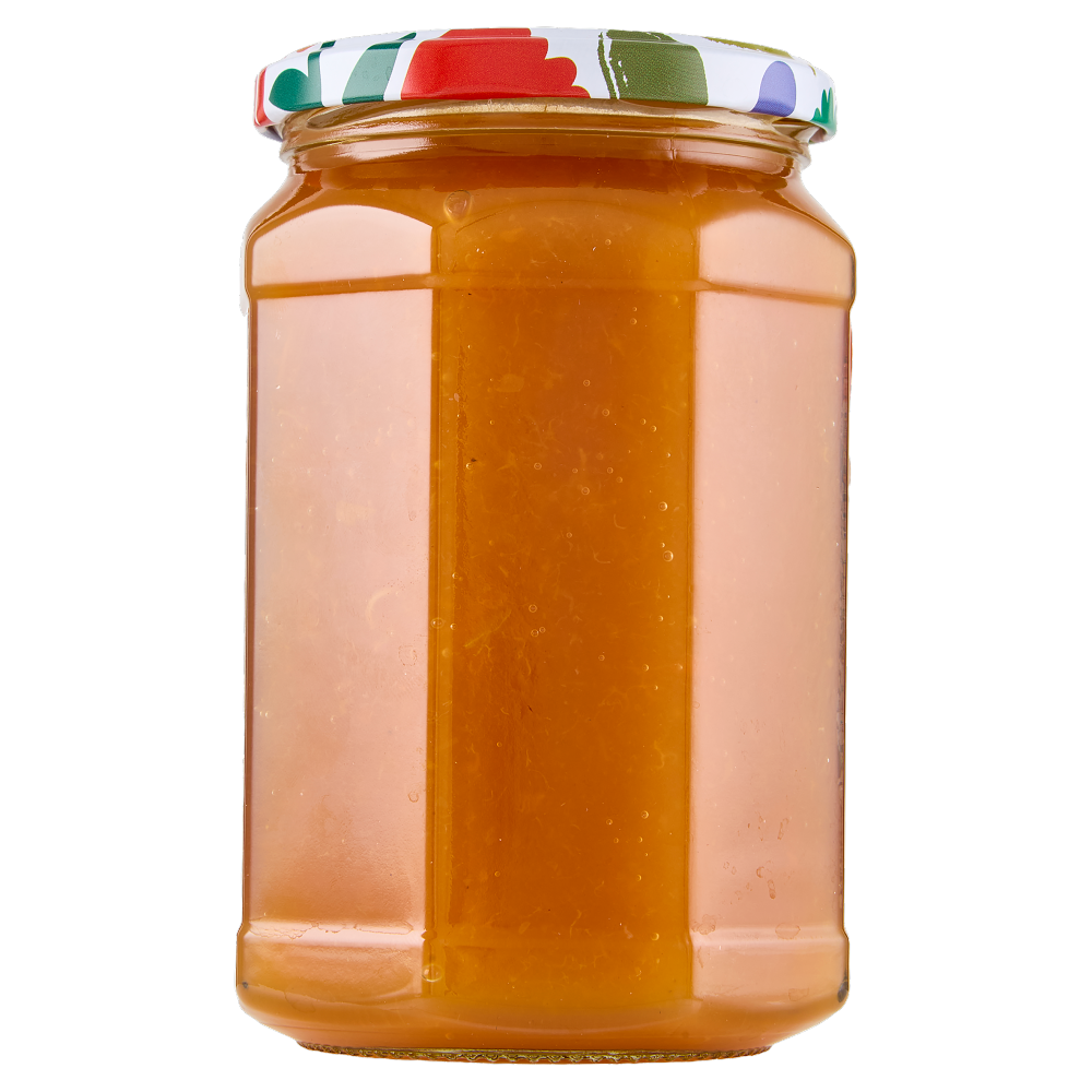 Rigoni di Asiago Fiordifrutta bio Albicocche 600 g | Carrefour